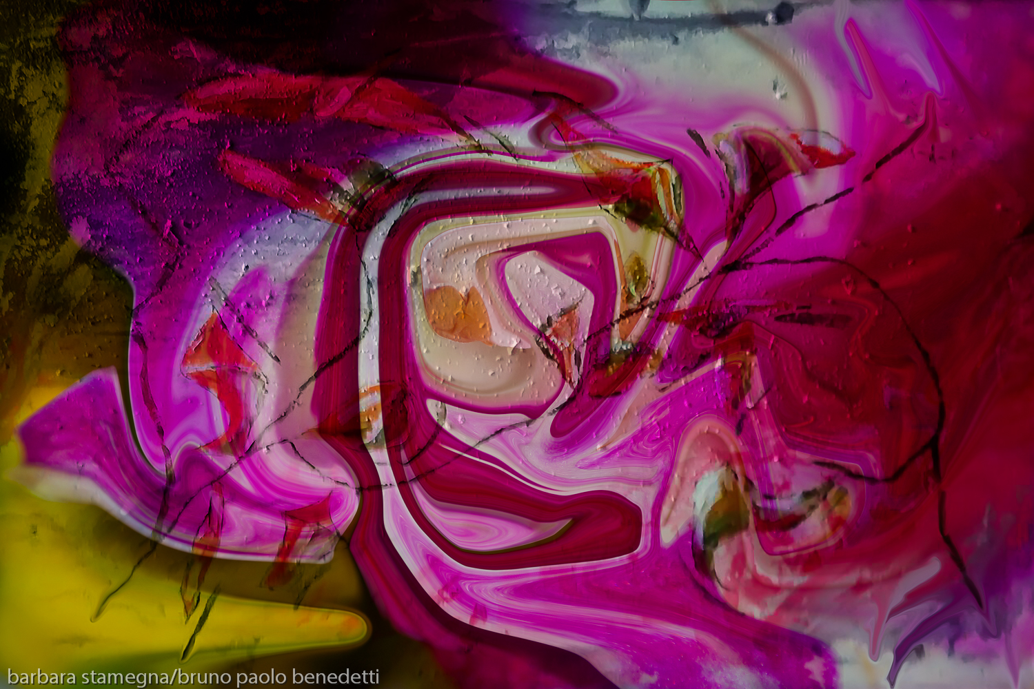 swirling pink abstract shapes – Barbara Stamegna